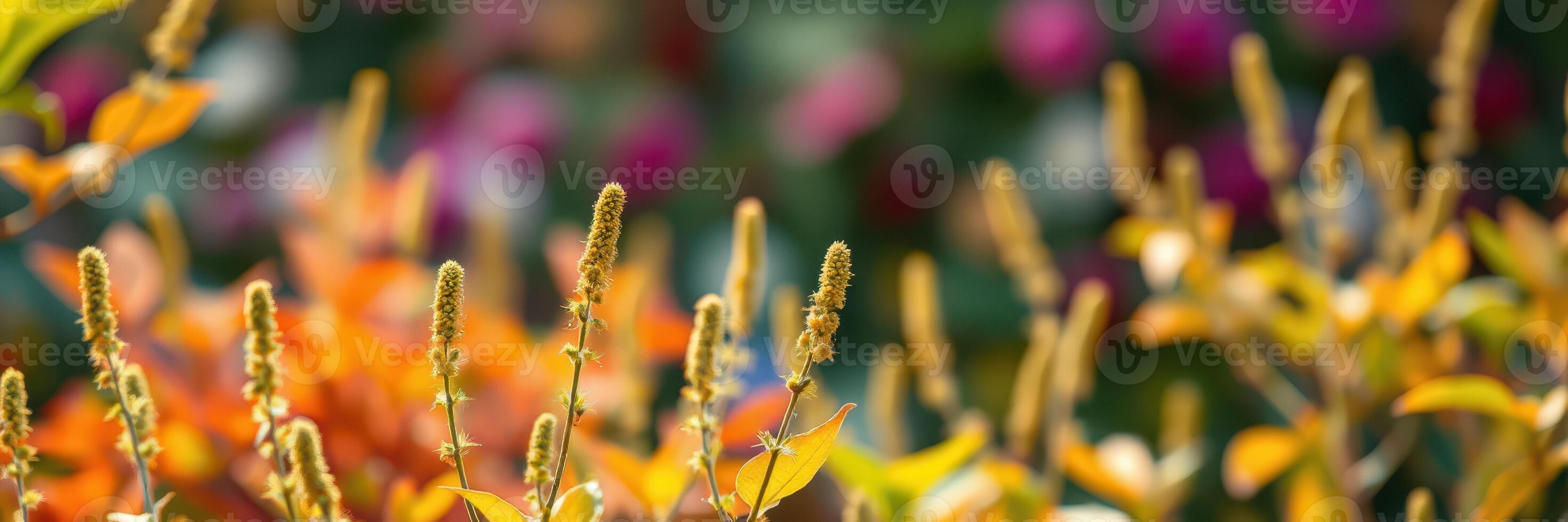 Page 3 | Spring Green Colors Stock Photos, Images and Backgrounds for ...