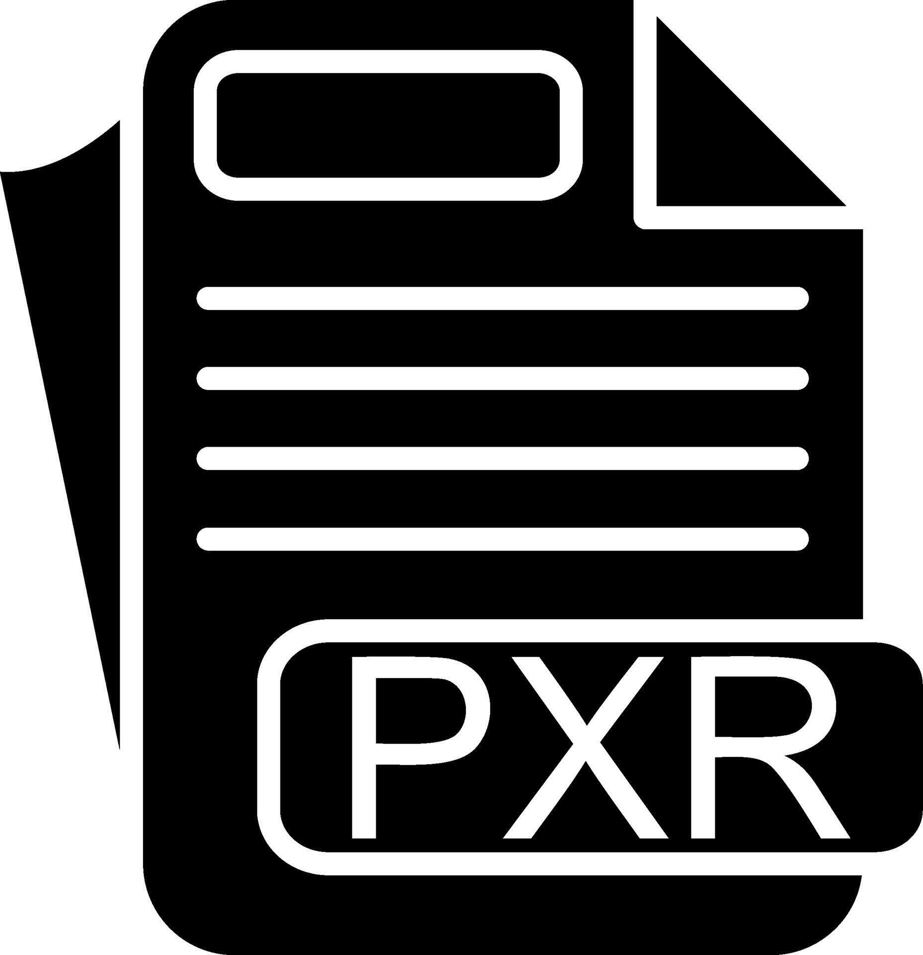 PXR File Format Glyph Icon 53904282 Vector Art at Vecteezy