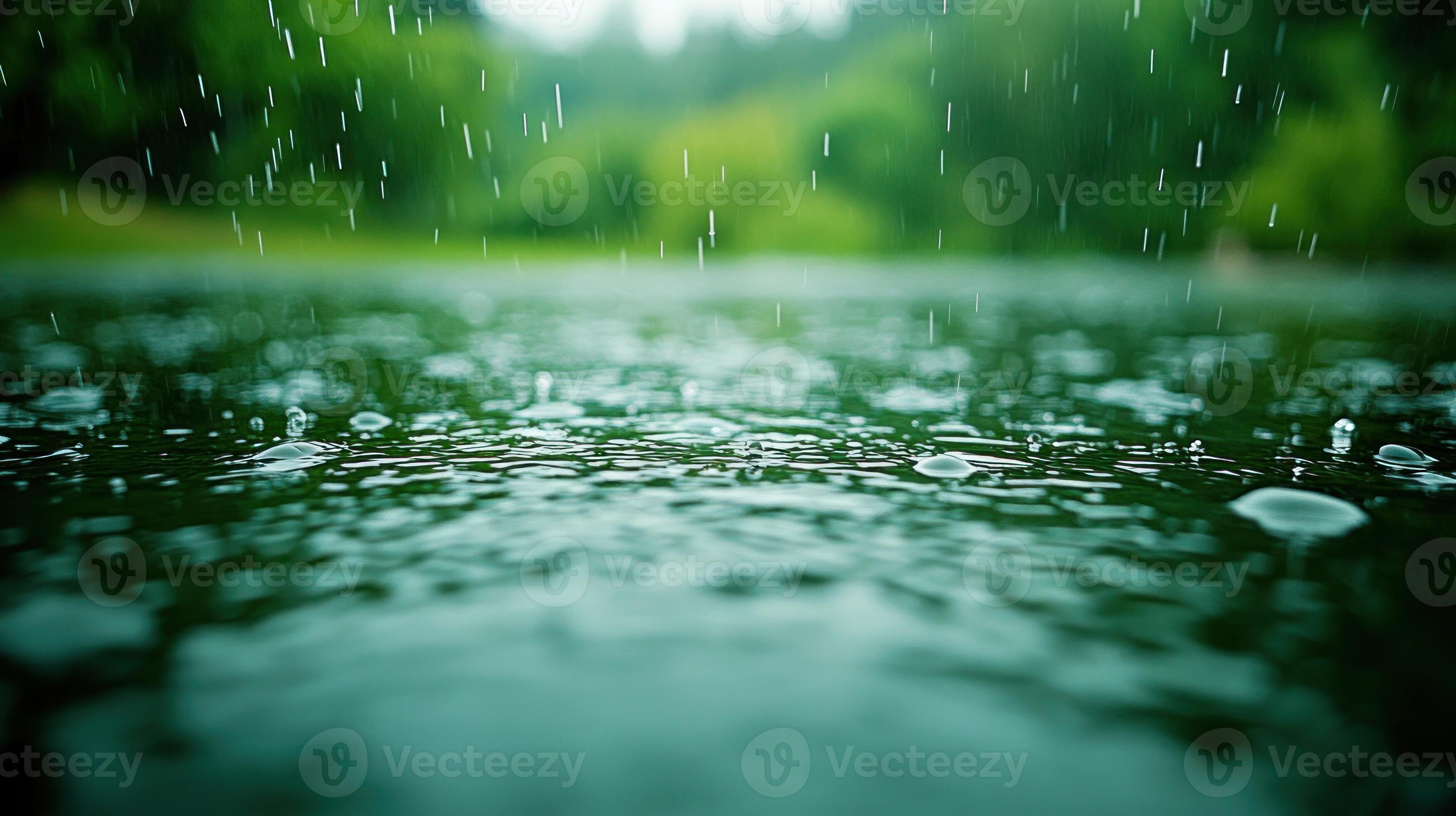 Soft rain makes ripples on a calm lake, encircled by lush greenery in a serene atmosphere ...
