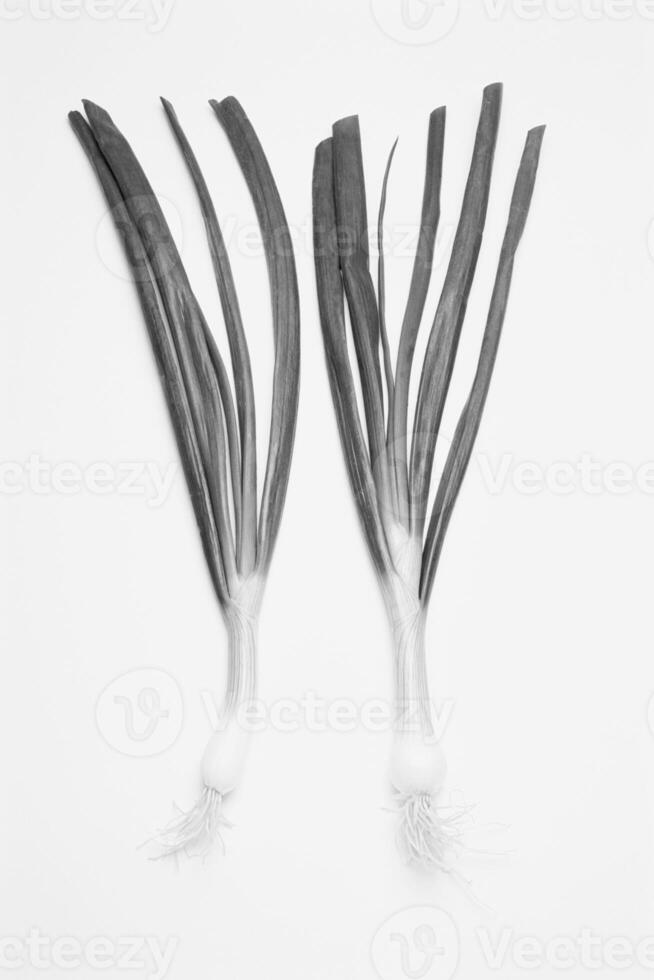 Spring Onions Close-Up Background 53970434 Stock Photo at Vecteezy