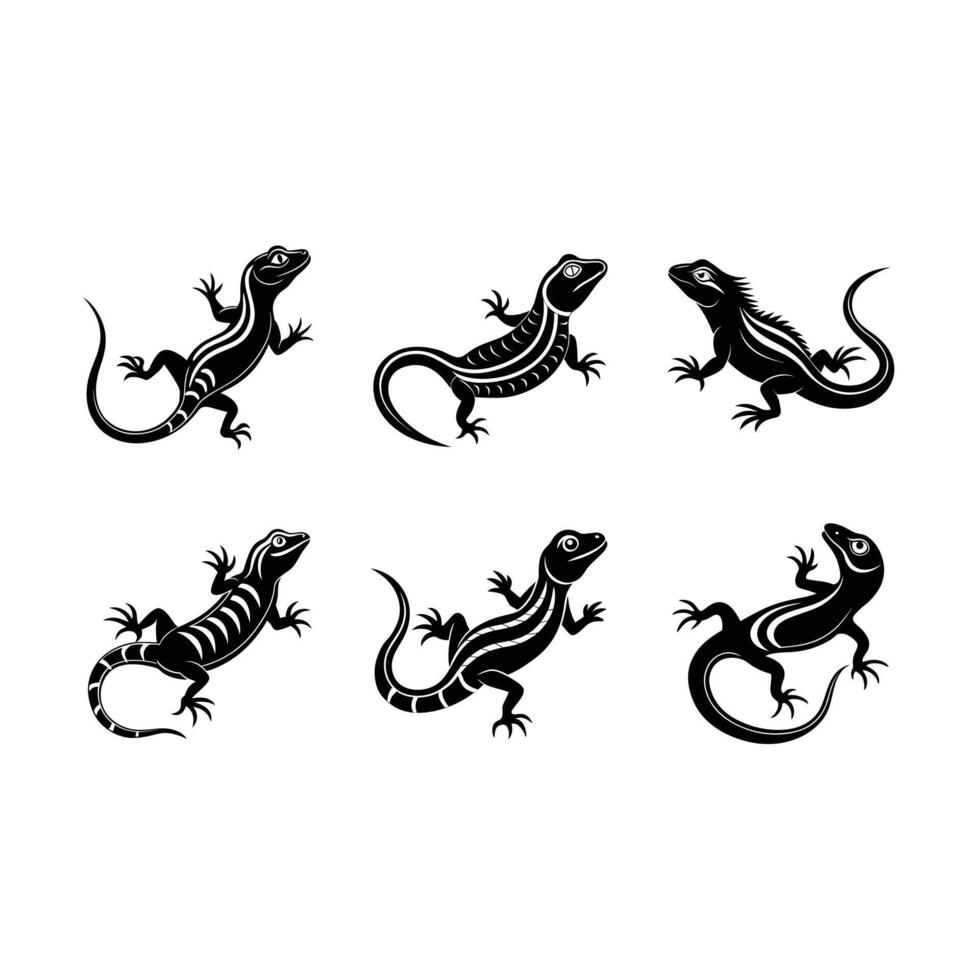 Lizard Graphic Design File for Creative Projects 53978533 Vector Art at ...