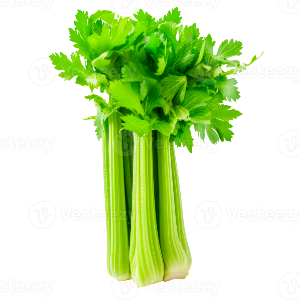Fresh green celery stalks isolated on a transparent background 54045140 PNG