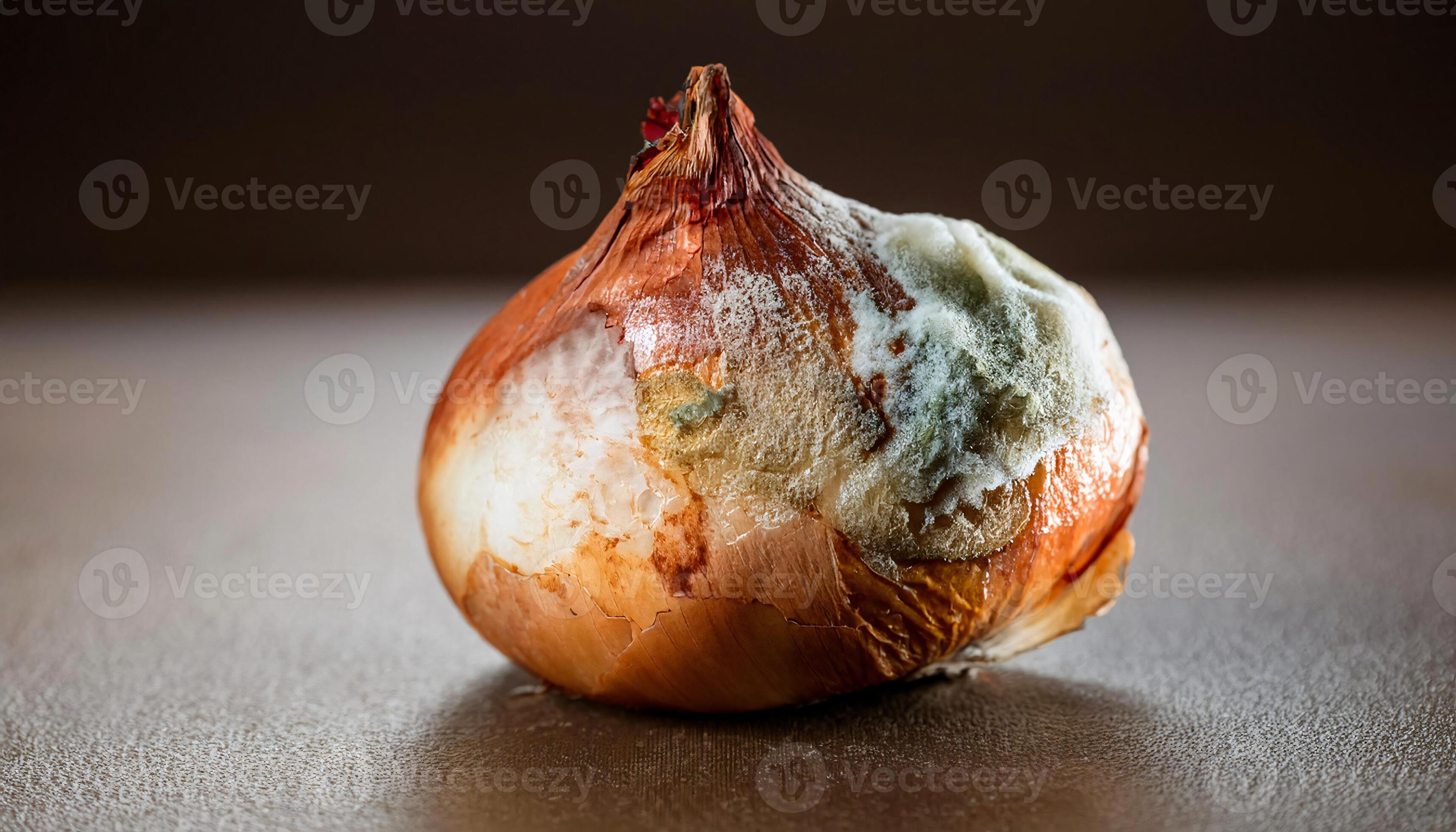 macro close-up of a moldy onion with peeling outer layers and prominent ...