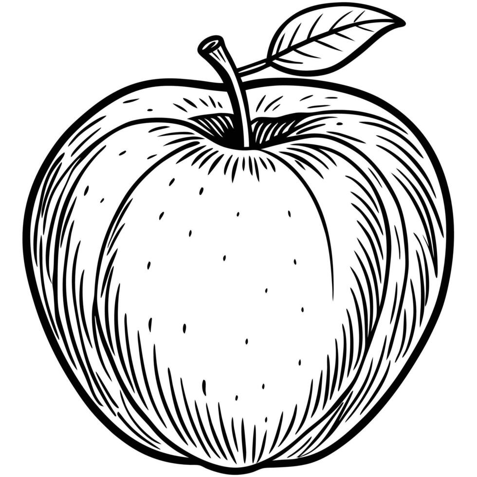 Apple Coloring Pages Free Printable