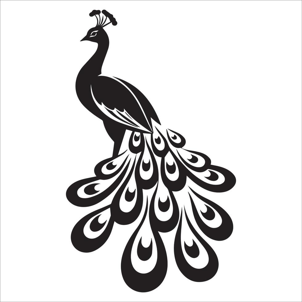 Intricate Peacock Feather Linework 54088944 Vector Art at Vecteezy