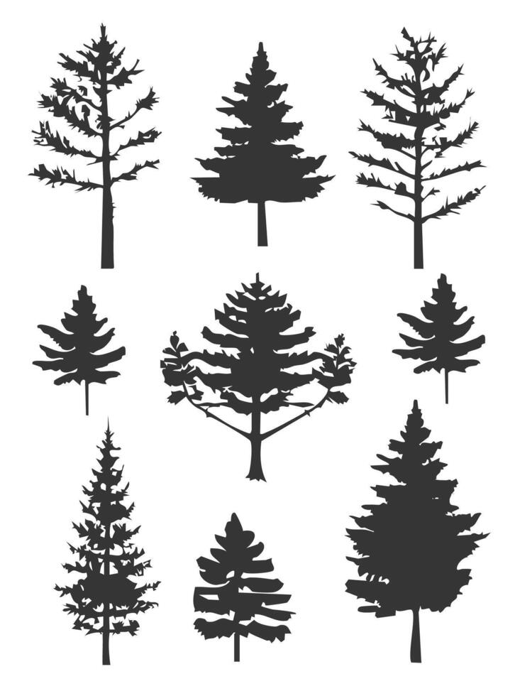 Silhouette Pine Trees Collection Illustration 54121203 Vector Art at ...
