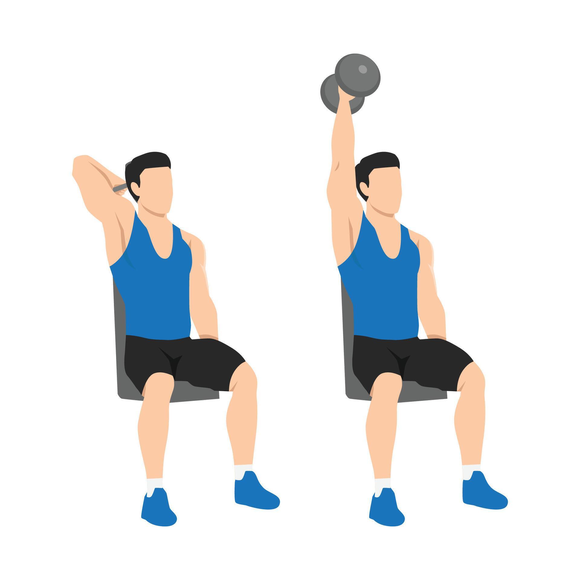 Man doing Seated Single arm overhead dumbbell tricep extensions. 54135728 Vector Art at Vecteezy