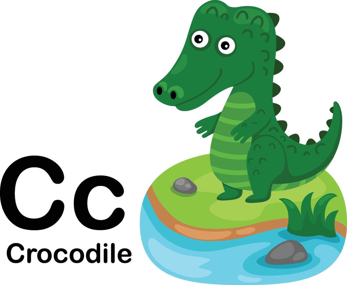Alphabet Letter C-Crocodile with cartoon vocabulary illustration, 54267324 Vector Art at Vecteezy