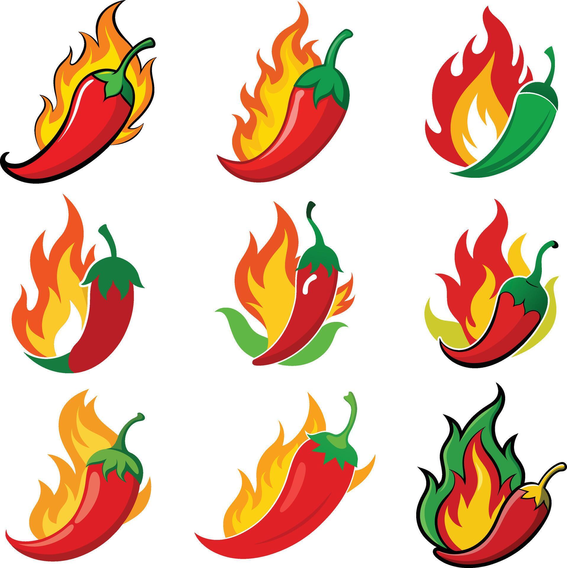 chilli and fire combined white background. 54321076 Vector Art at Vecteezy