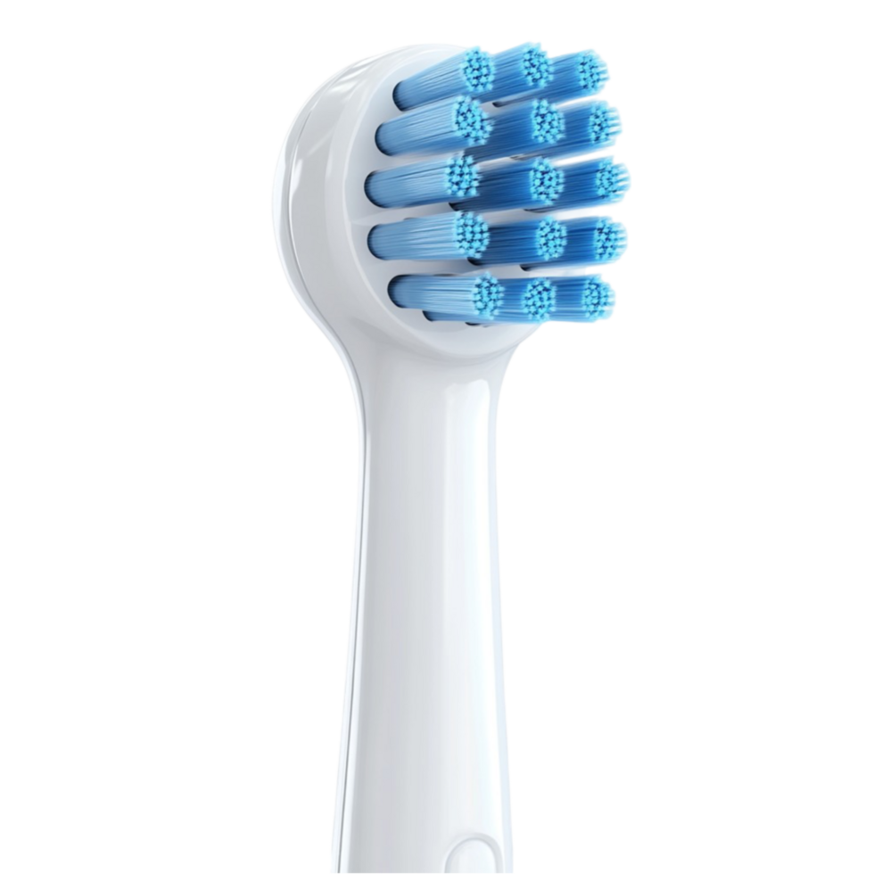Blue Bristle Head for Electric Toothbrush 54403199 PNG