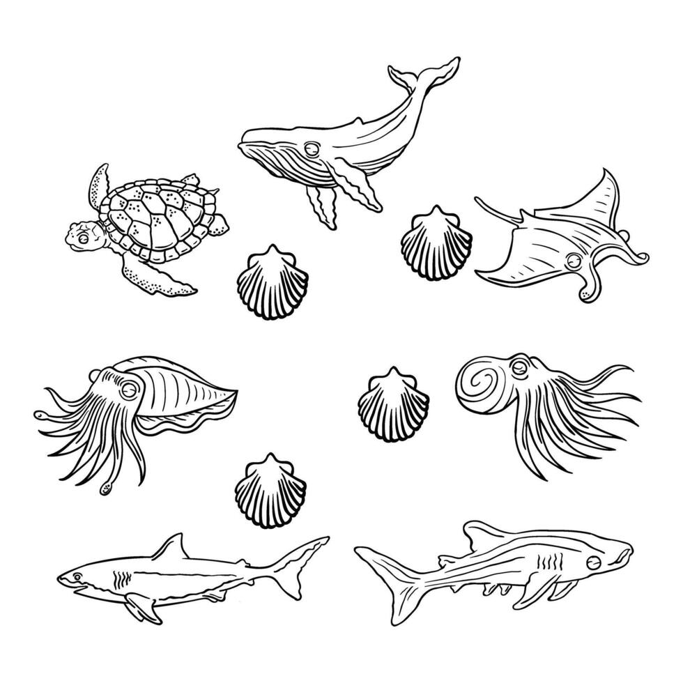 sea animals coloring pages for kids 54487283 Vector Art at Vecteezy