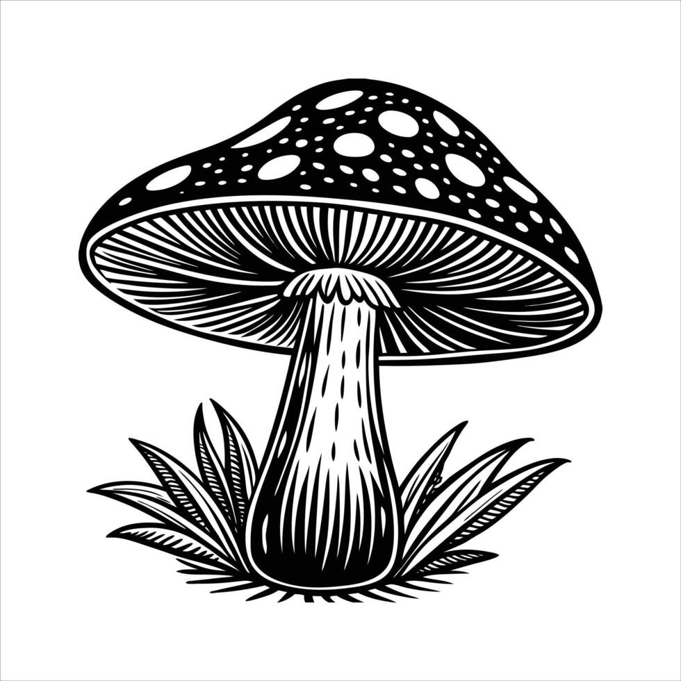 Mushroom Definition, Characteristics, 54574363 Vector Art at Vecteezy Mushroom Definition, Characteristics, 54574363 Vector Art at Vecteezy