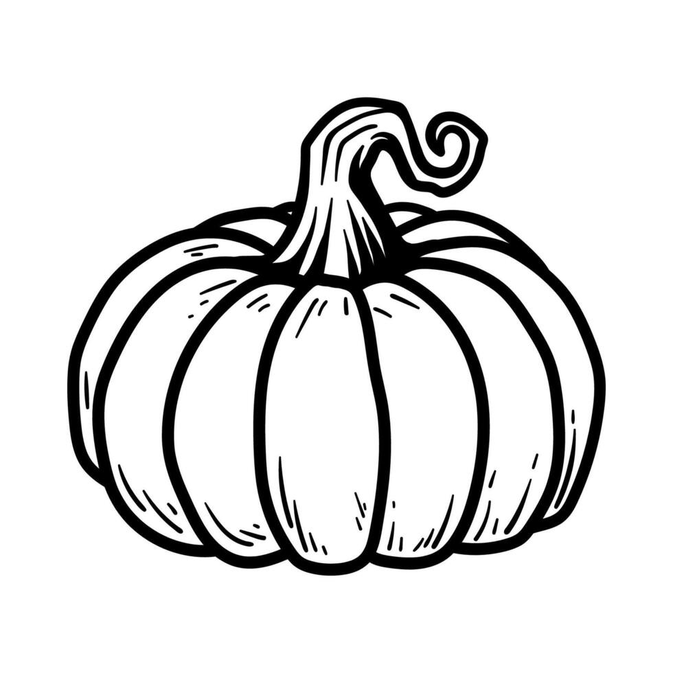 Big Pumpkin Isolated Drawing Line Art Style Sketch Classic Vintage