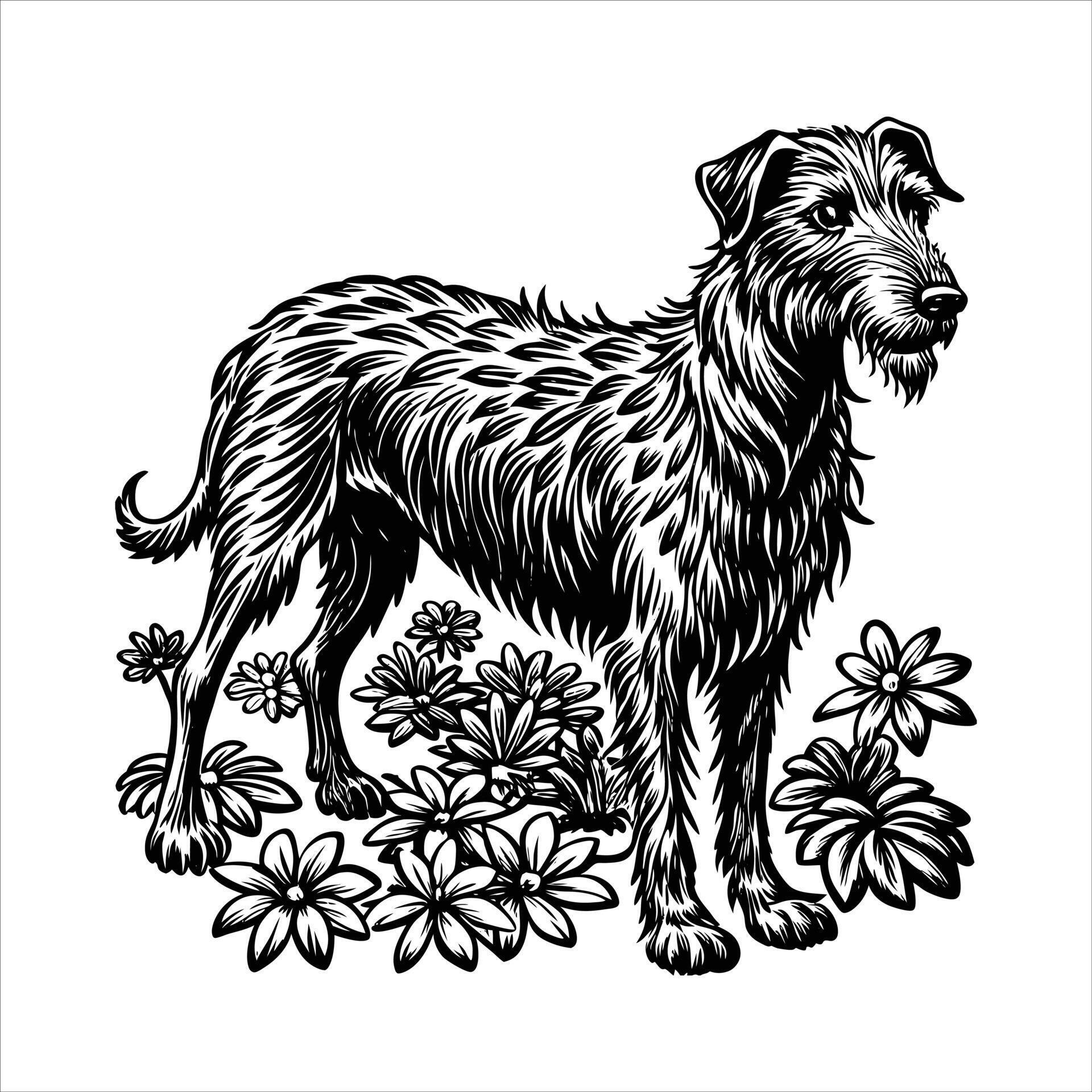 Irish Wolfhound Dog Breed Information 54653918 Vector Art at Vecteezy Irish Wolfhound Dog Breed Information 54653918 Vector Art at Vecteezy