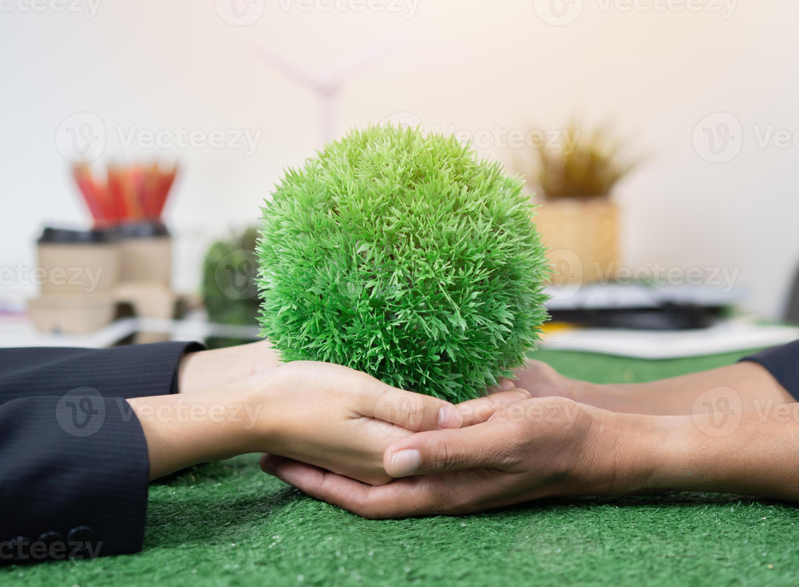 Business hands holding green plants global model together are the symbol of green business ...