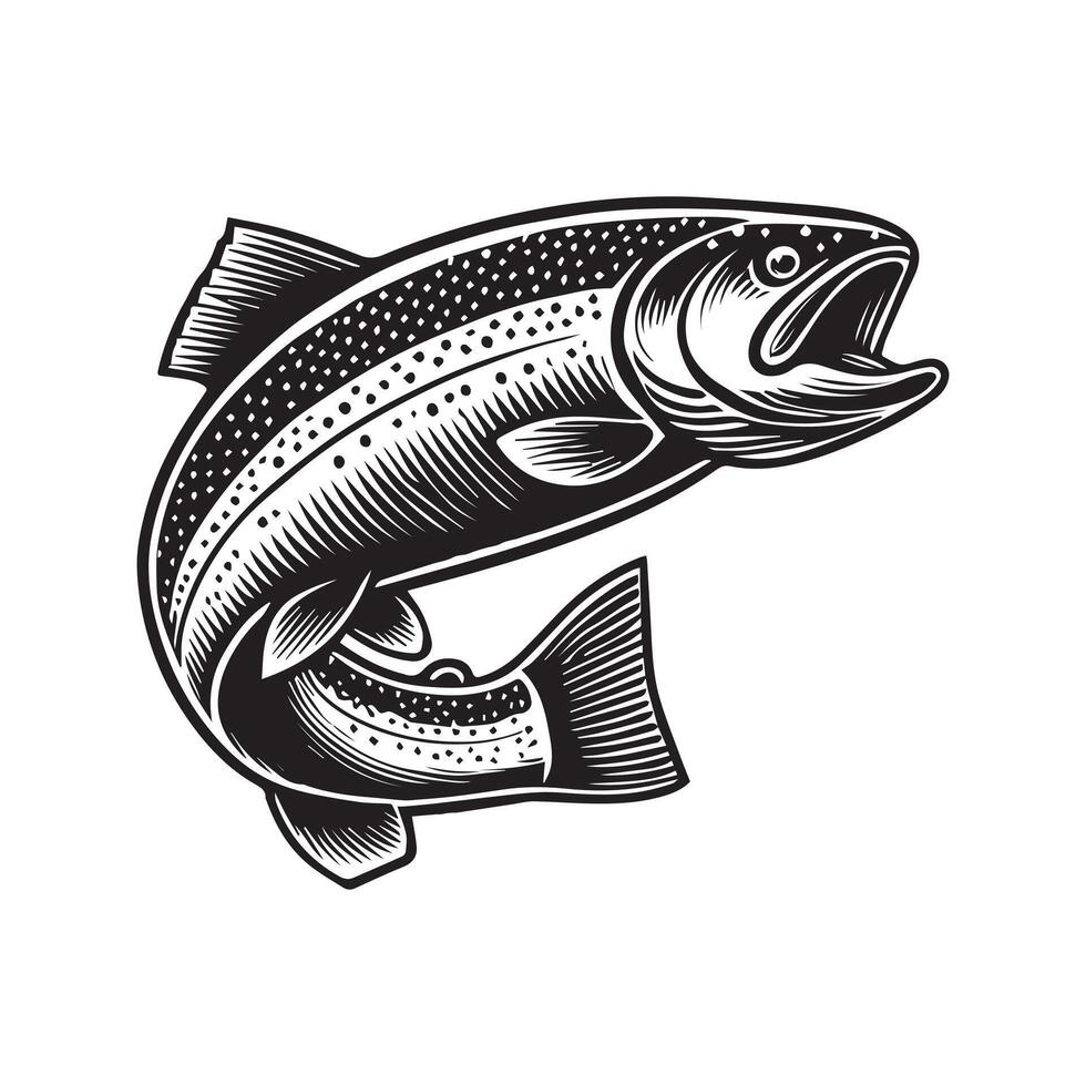 Rainbow Trout Fish Drawing Clipart 54769492 Vector Art at Vecteezy