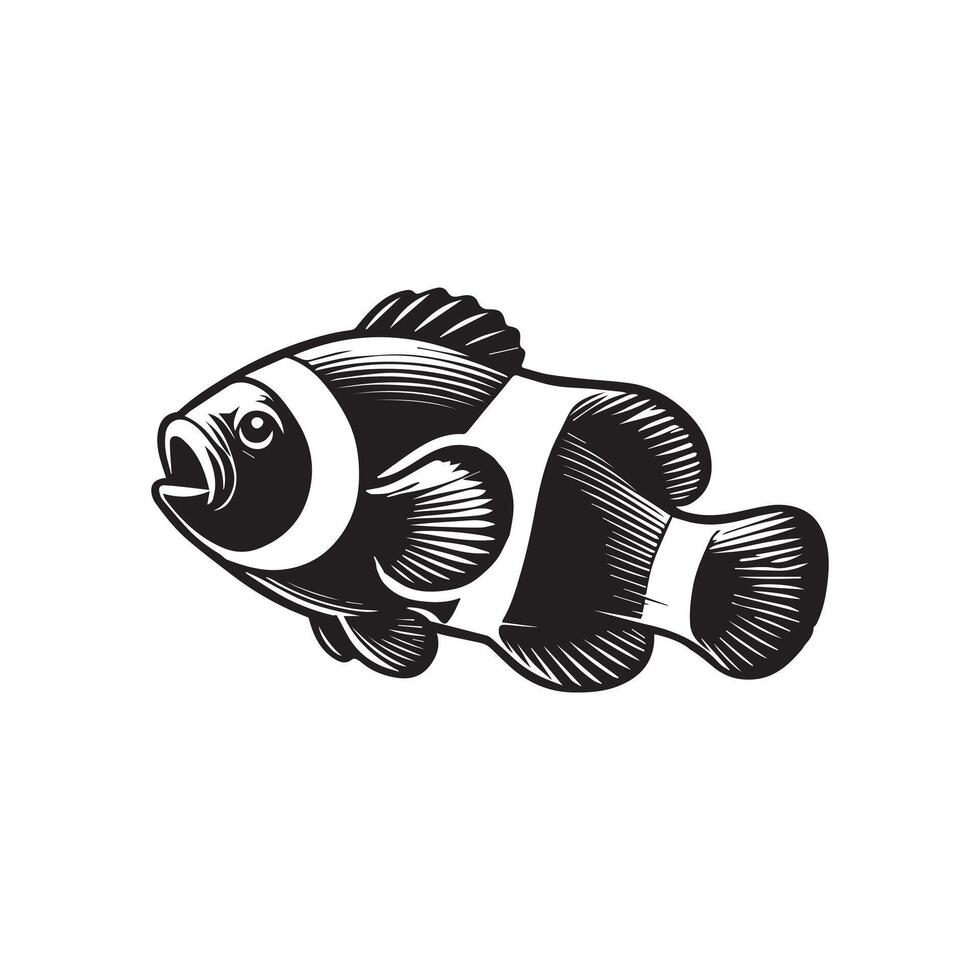 Joyful Clownfish Fish Illustration Design 54769508 Vector Art at Vecteezy