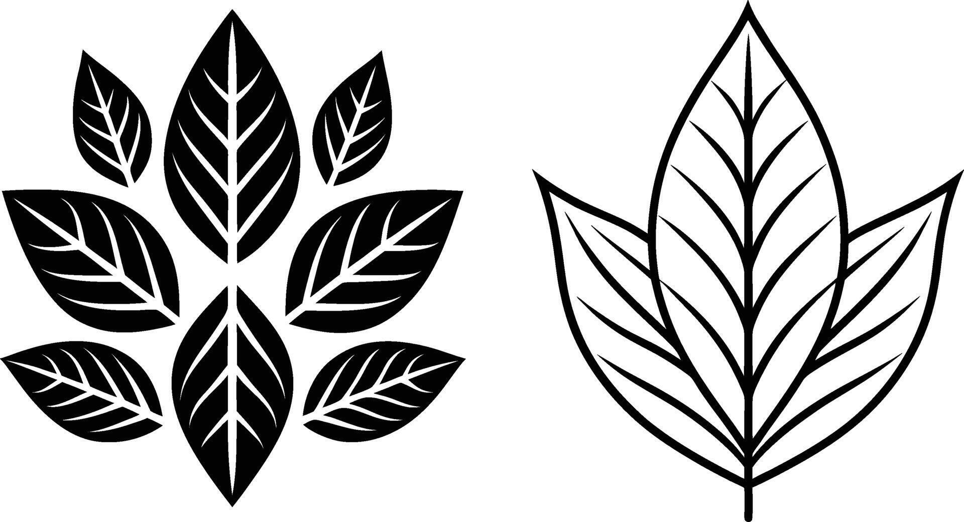 Isolated Abstract Leaf Icons Set Illustration 54787617 Vector Art At Vecteezy