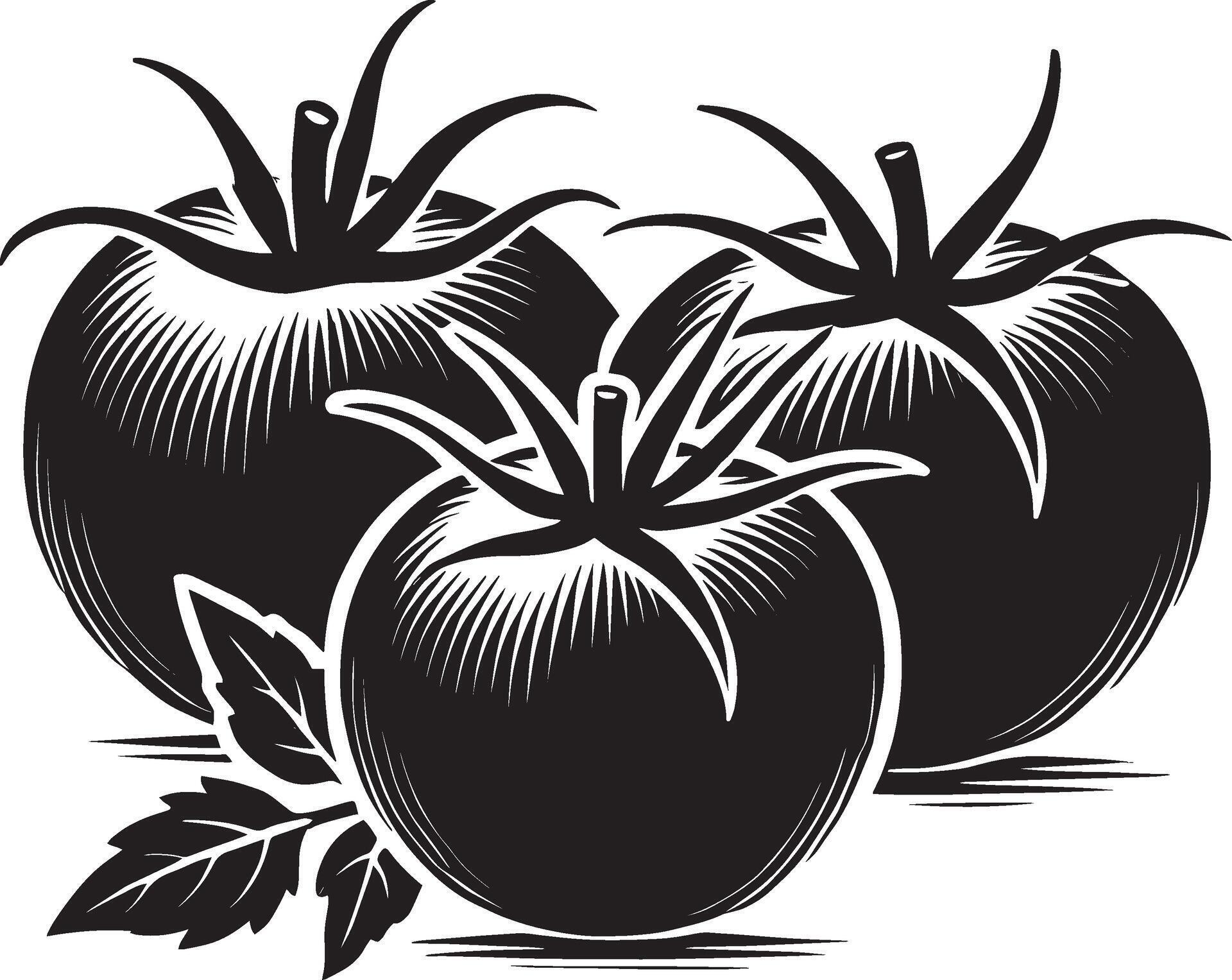 Wholesome tomato and bell pepper shadow illustration on white 54802280 Vector Art at Vecteezy