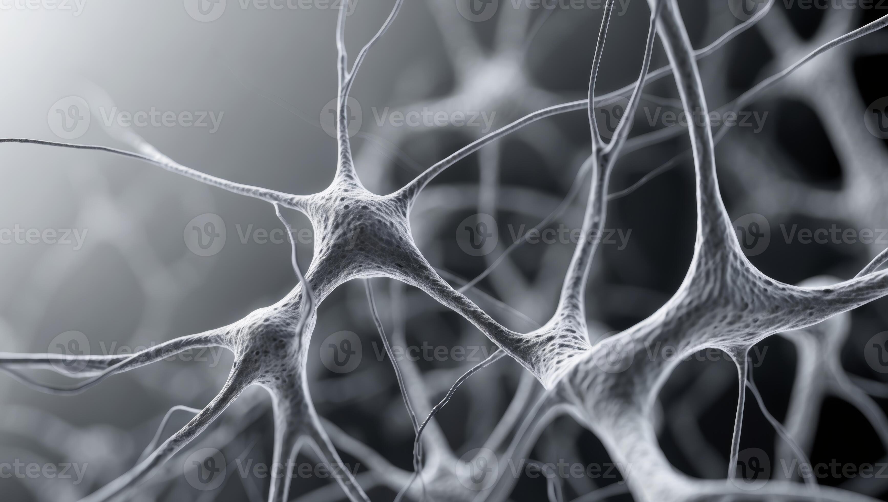 Intricate Network Of Neuron Cells Microscopic View Of Neural