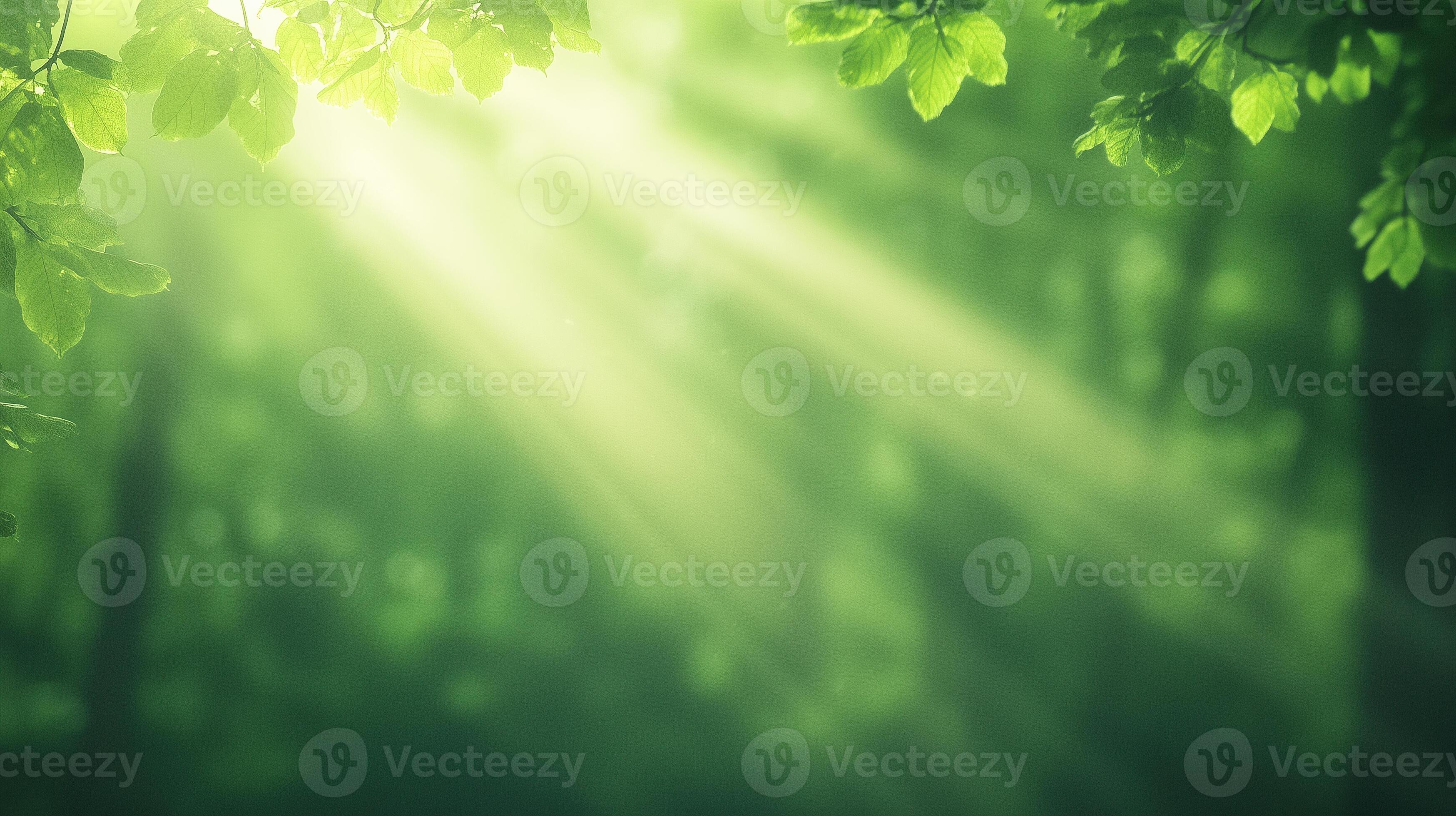 Enchanting Sunlight Streaming Through Lush Green Forest Canopy with Radiant Beams and Ethereal ...