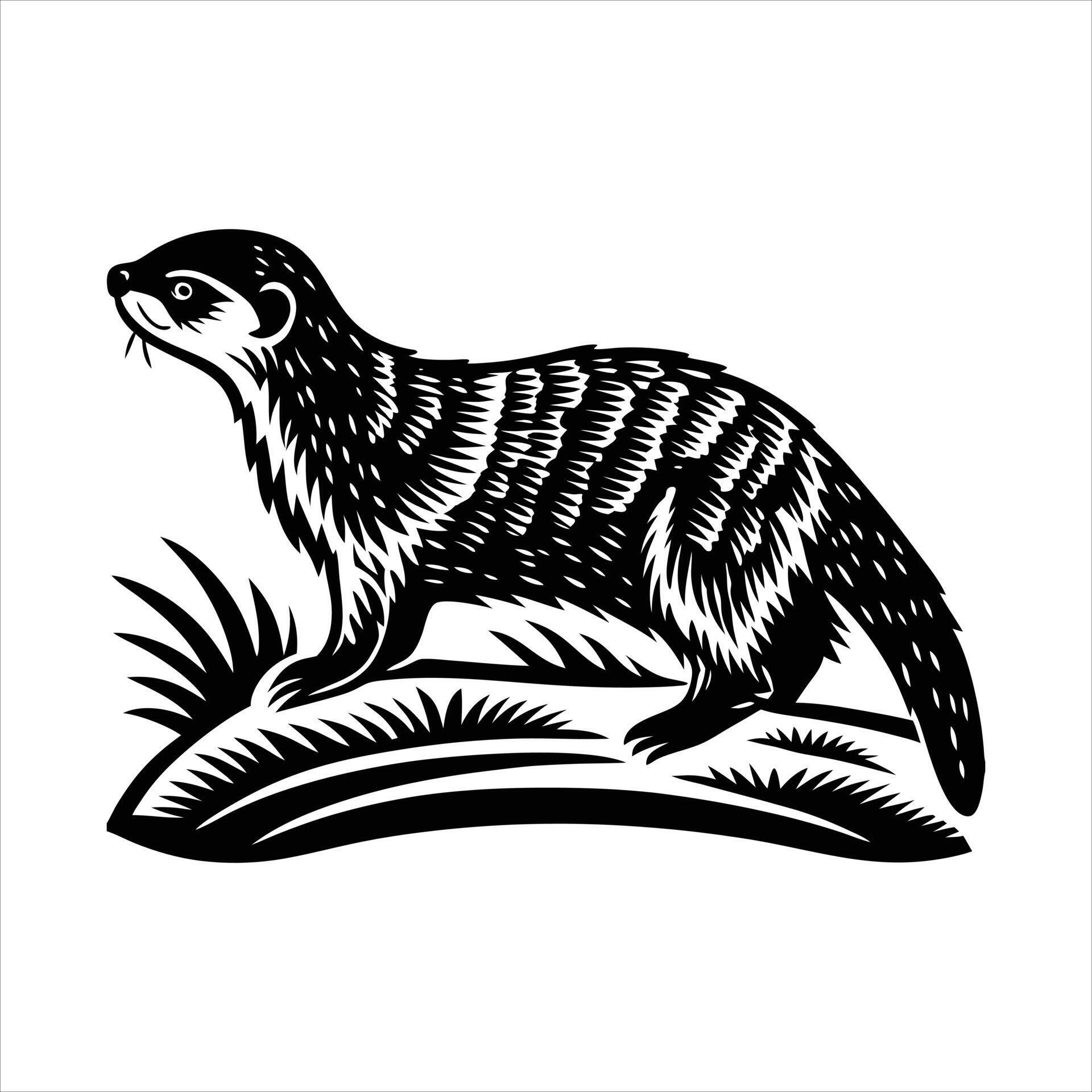 A Meerkat Images. 55039088 Vector Art at Vecteezy