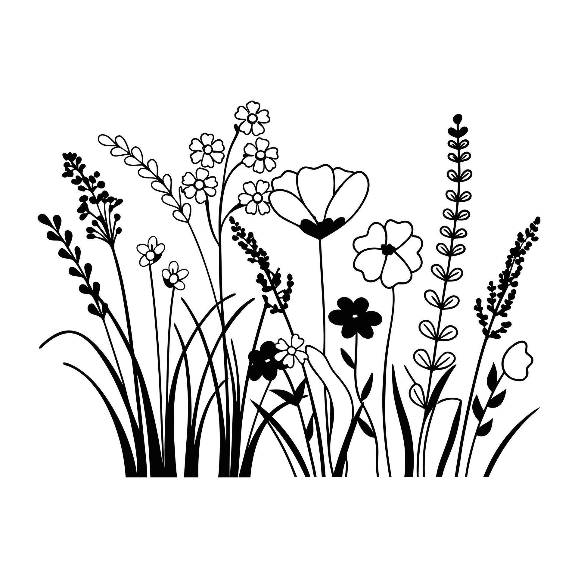 Elegant Wildflowers Floral Clipart Graphics 55052519 Vector Art at Vecteezy