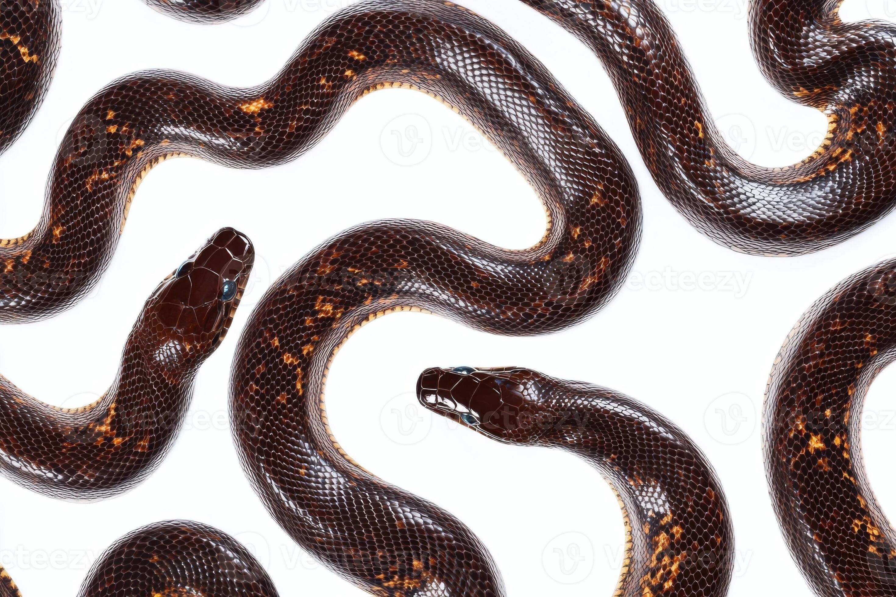 Multiple black and gold snakes slithering on a light background ...