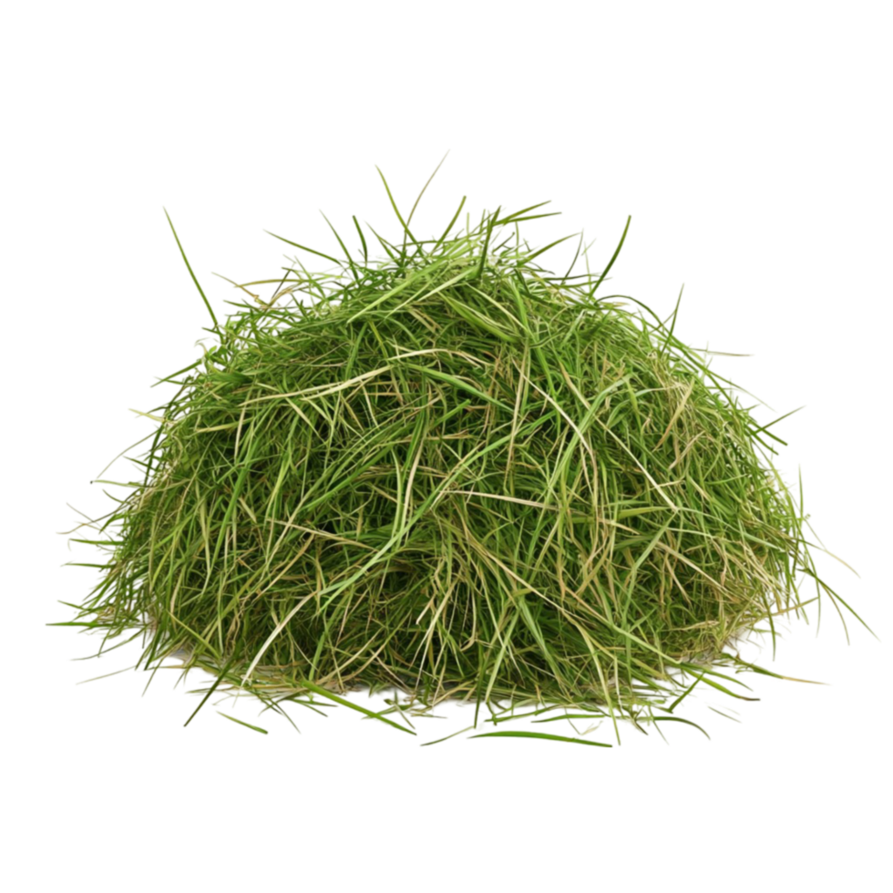 Pile of Grass 55130044 PNG