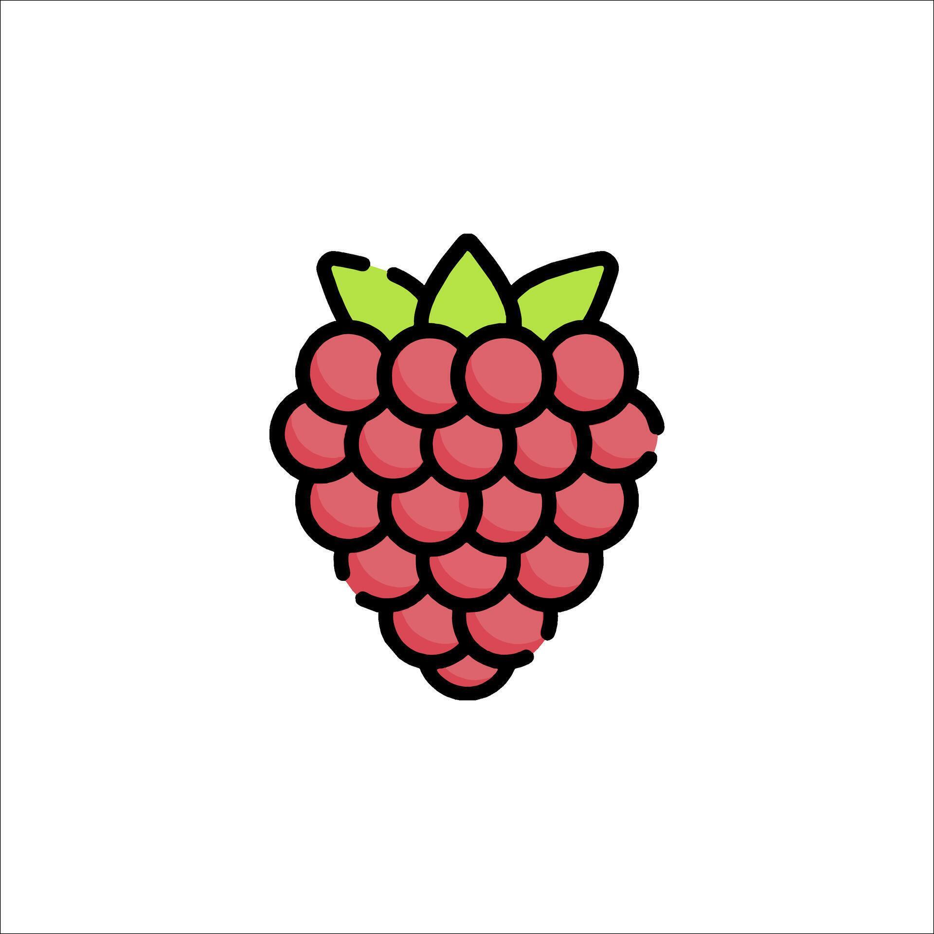 Raspberry pi logo design 55232220 Vector Art at Vecteezy