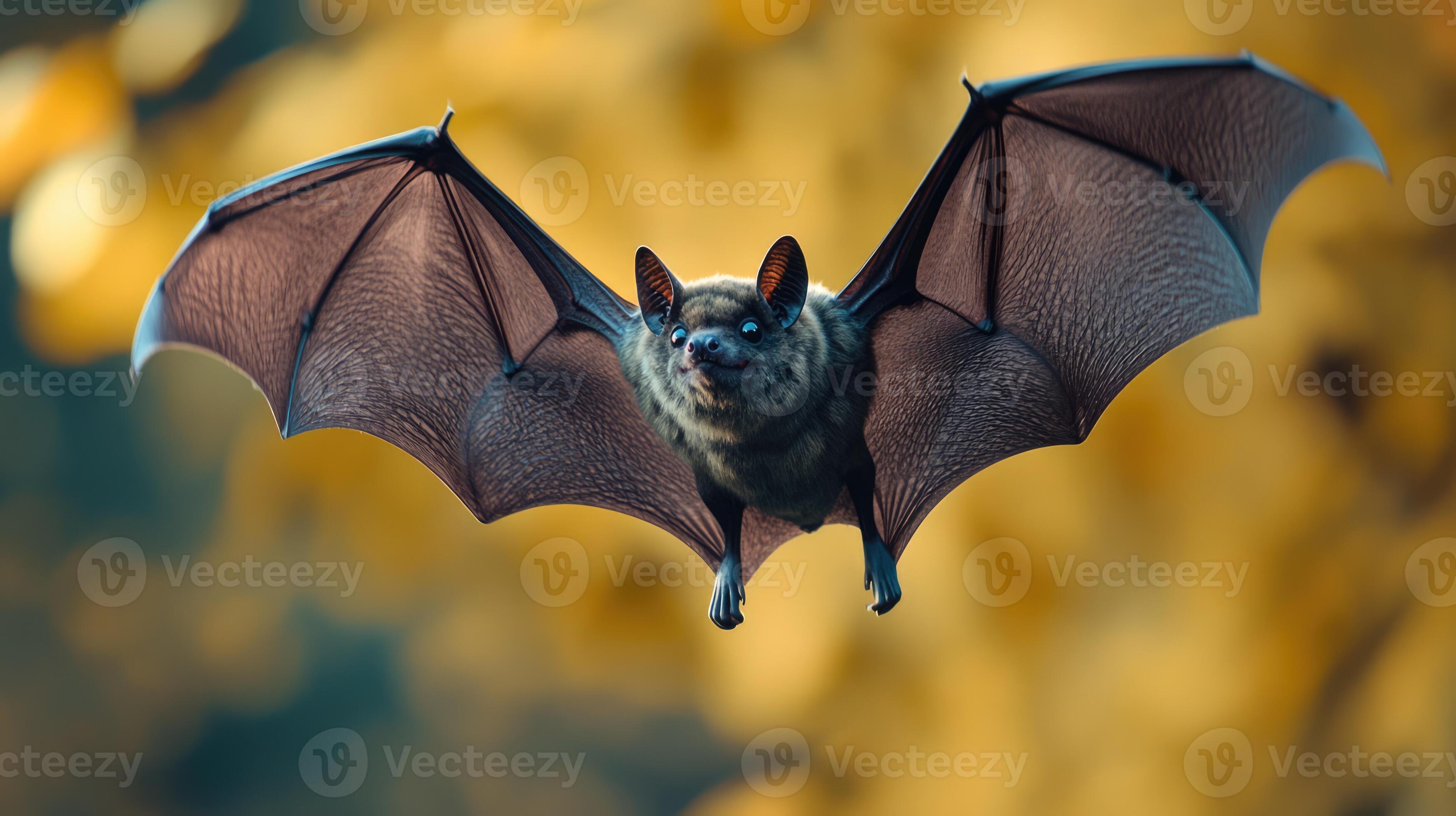 Bat flying outdoors. Hunting animal with spread wings, predator in flight 55235509 Stock Photo ...