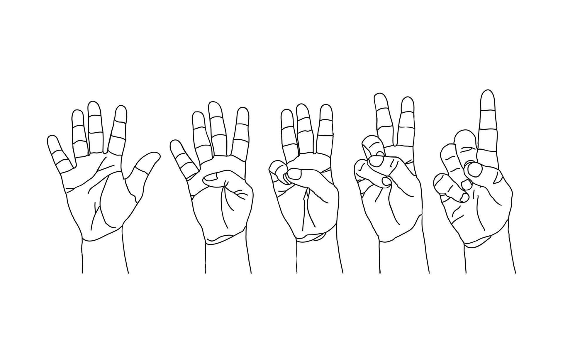 Minimalist line art numbers hand signs from one to five, counting ...