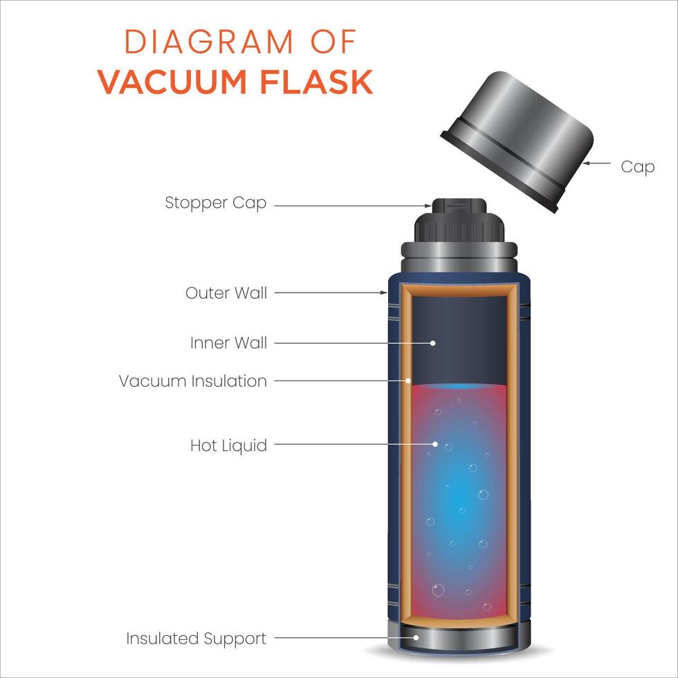 Illustration of Vacuum Flask Diagram Structure and Components Explained ...