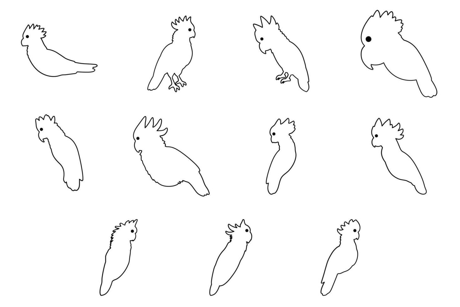 Outline Cockatoo Illustration Design Set 55381655 Vector Art at Vecteezy