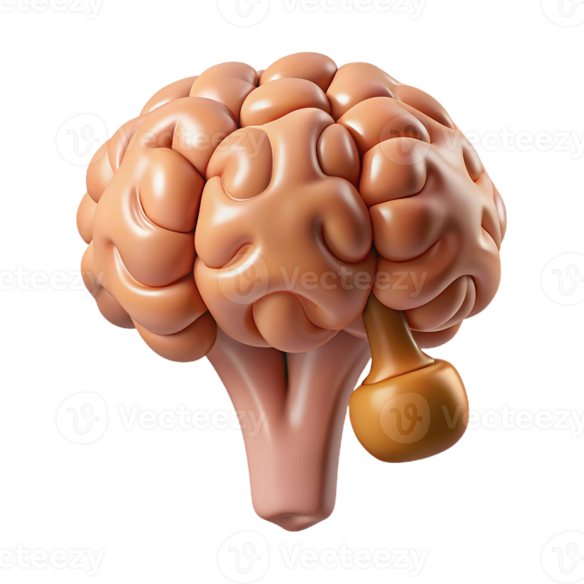 isométrico render do humano cérebro 55387990 PNG