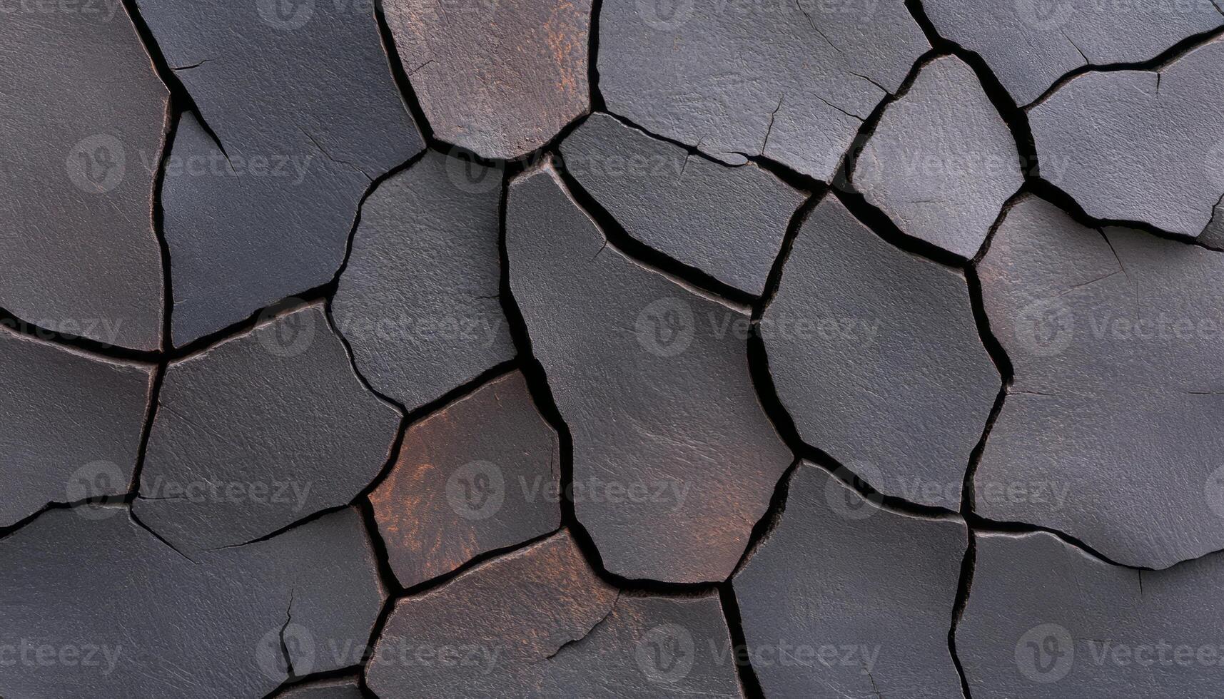 Black surface shows crack patterns, revealing geological processes in a ...