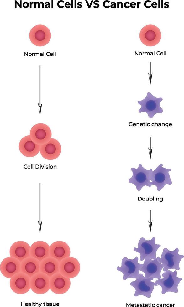 Normal Cells VS Cancer Cells Design 55470813 Vector Art at Vecteezy