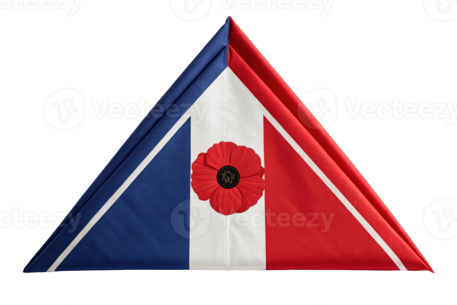 Floral-emblem triangular flag design 55497235 PNG