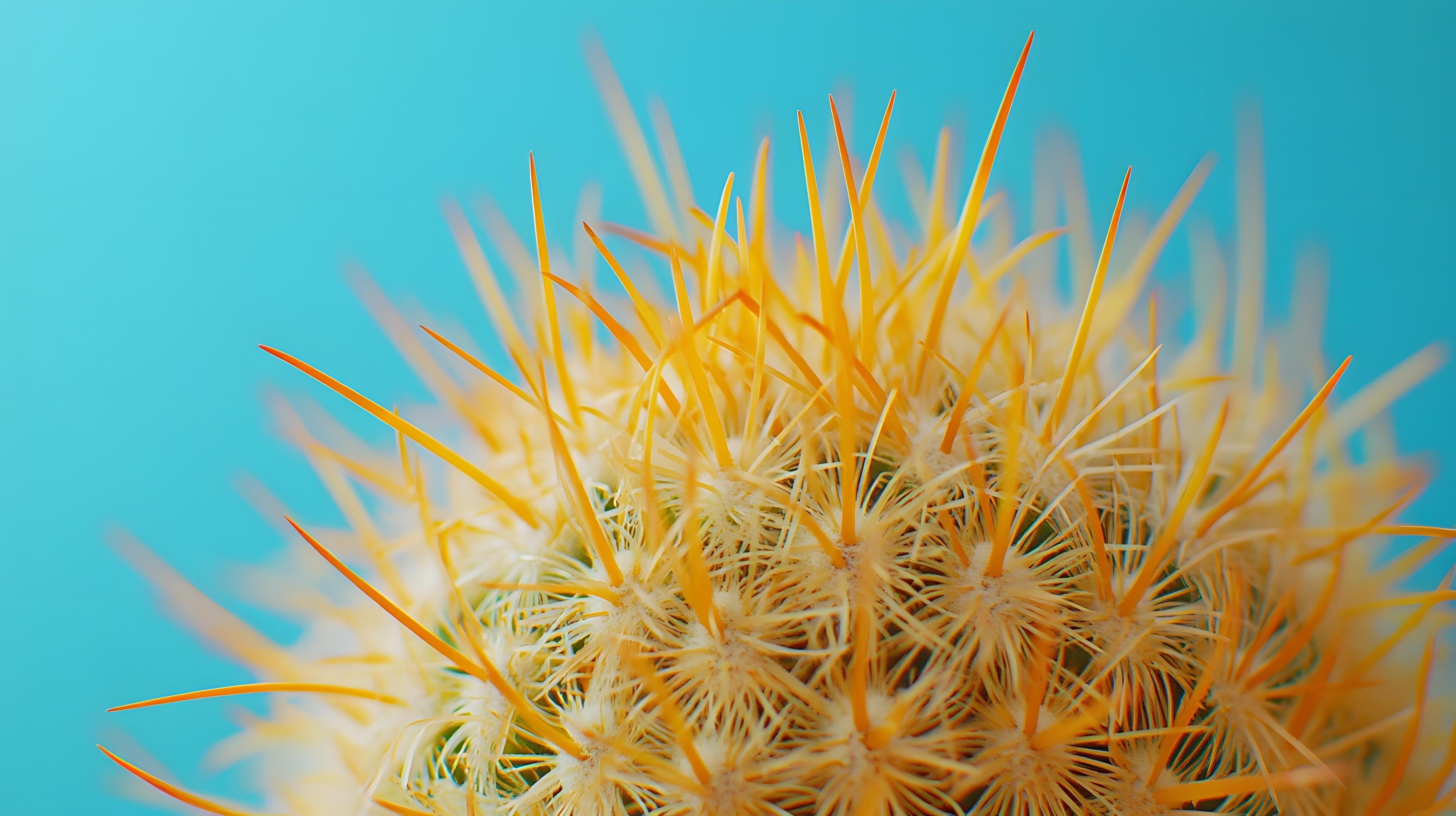 Golden barrel cactus displays striking yellow spines against soft baby blue background. Macro ...