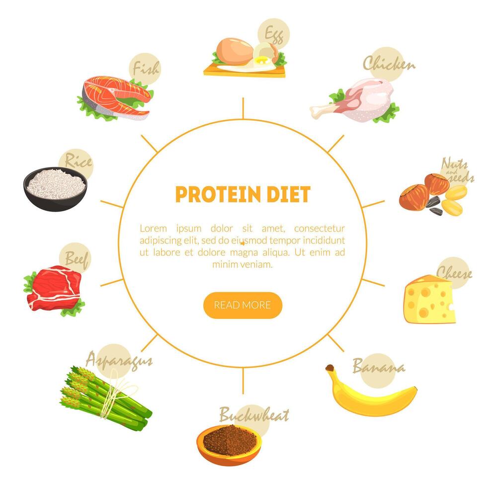 Protein Diet Chart Diagram, Nutrition and Wholesome Products for ...