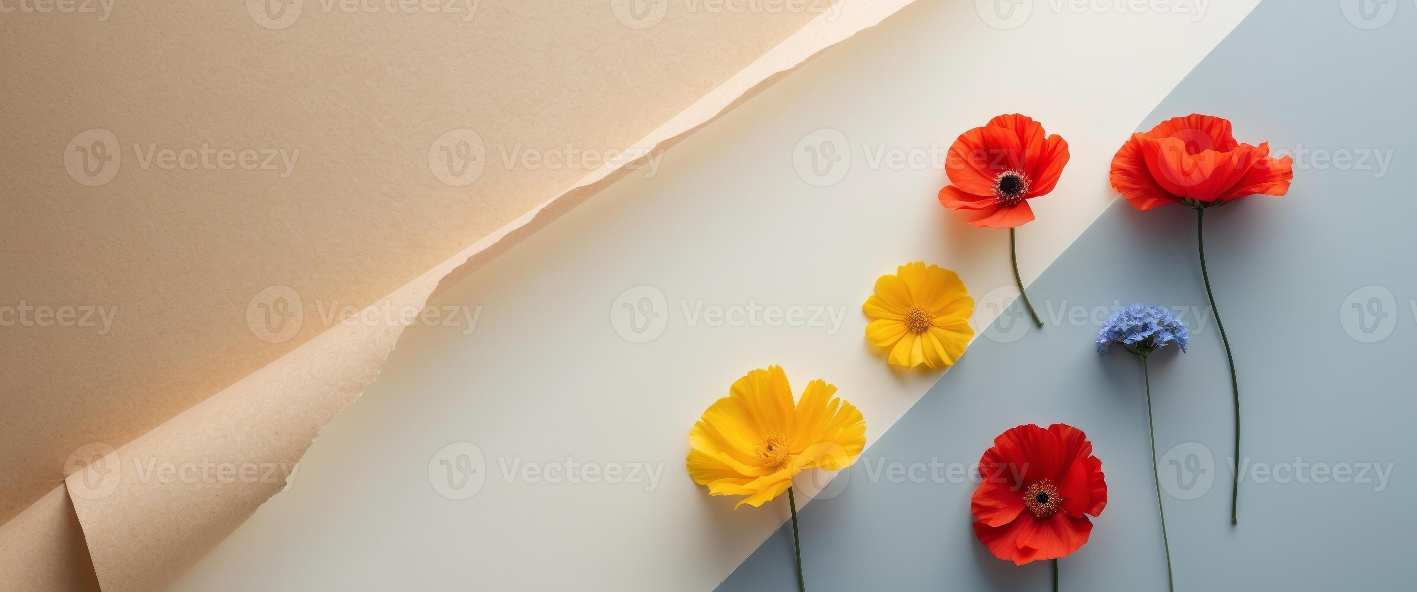 Flat lay banner template featuring subtle paper texture with neutral ...