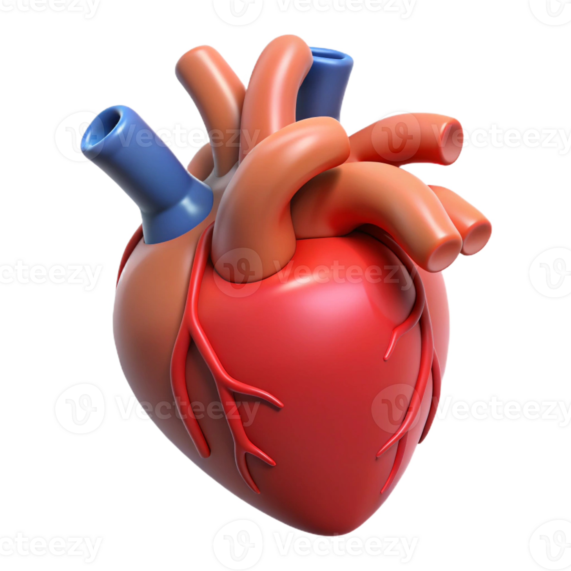 Realistic human heart illustration 55551898 PNG Realistic human heart illustration 55551898 PNG