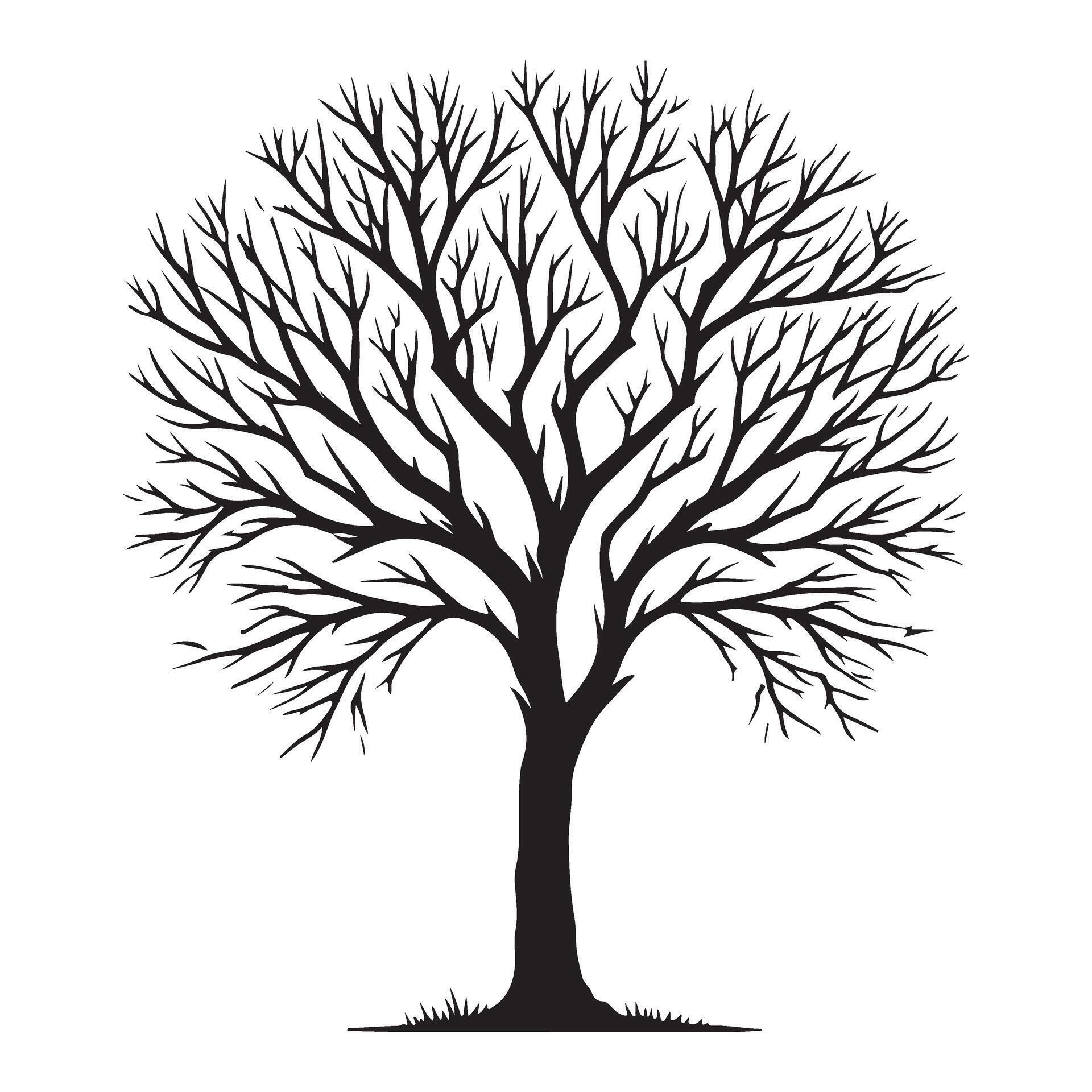 Simple Bare Tree Silhouette Illustration 55566401 Vector Art at Vecteezy
