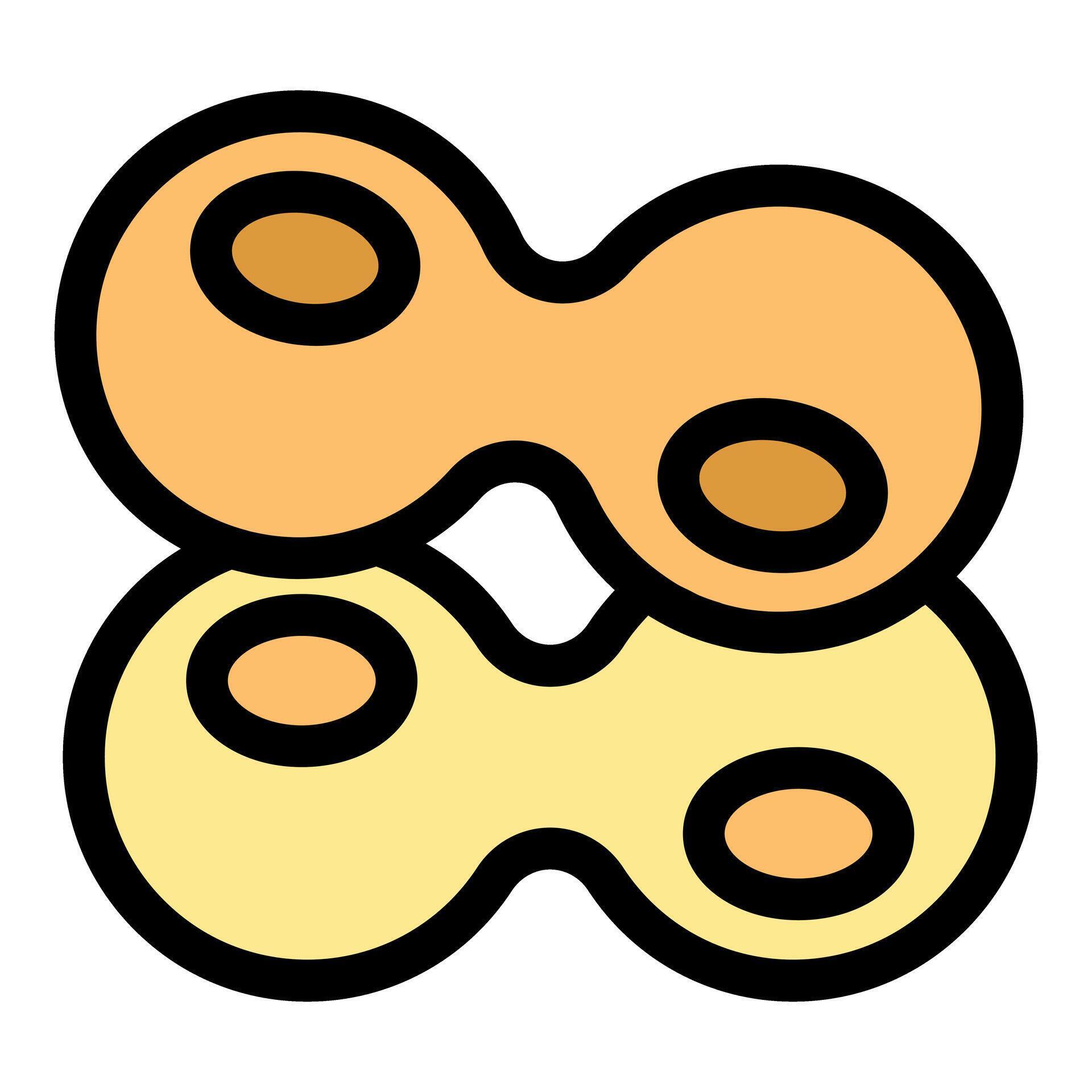 Bacteria undergoing binary fission, creating two daughter cells ...