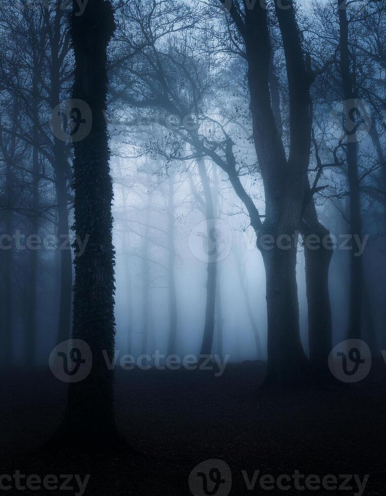 Enigmatic Fog-Shrouded Forest 55676505 Stock Photo at Vecteezy Enigmatic Fog-Shrouded Forest 55676505 Stock Photo at Vecteezy