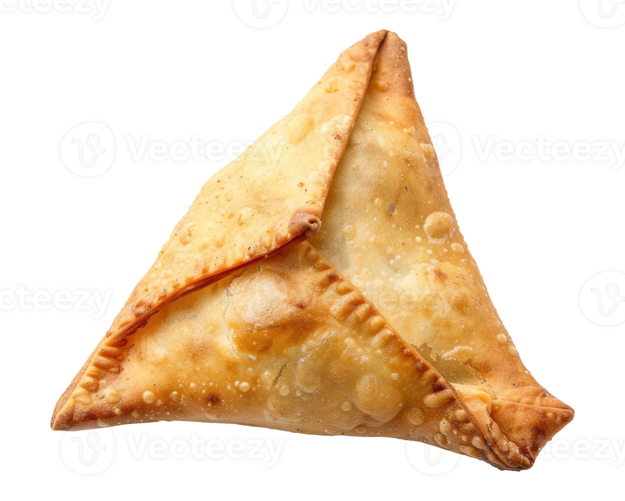 One Samosa Isolated 55688084 PNG