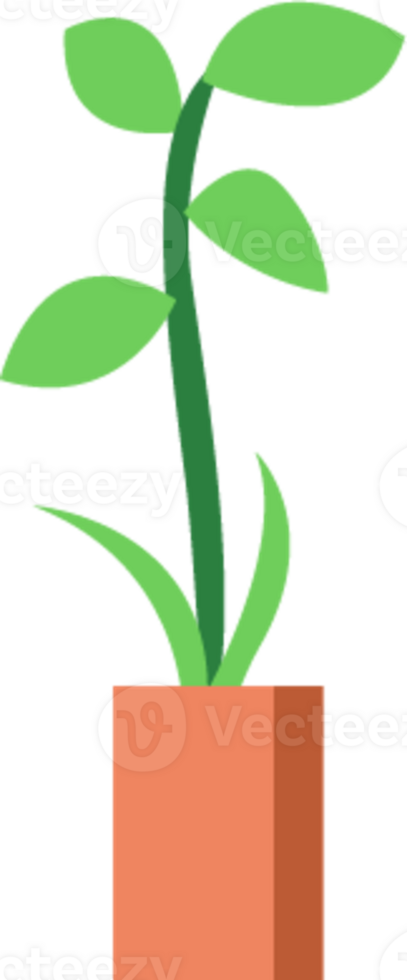 planta en una maceta 55717257 PNG