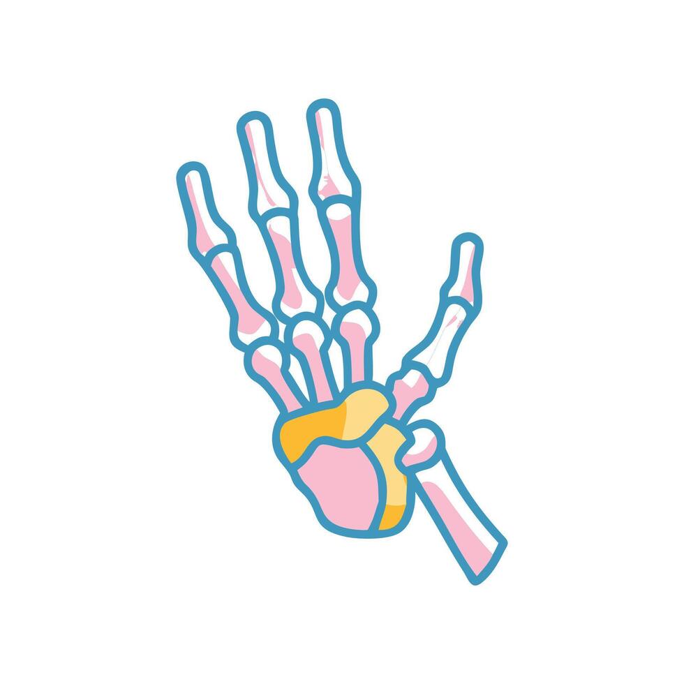 Scaphoid Bone Detailed Anatomy 55729116 Vector Art at Vecteezy Scaphoid Bone Detailed Anatomy 55729116 Vector Art at Vecteezy