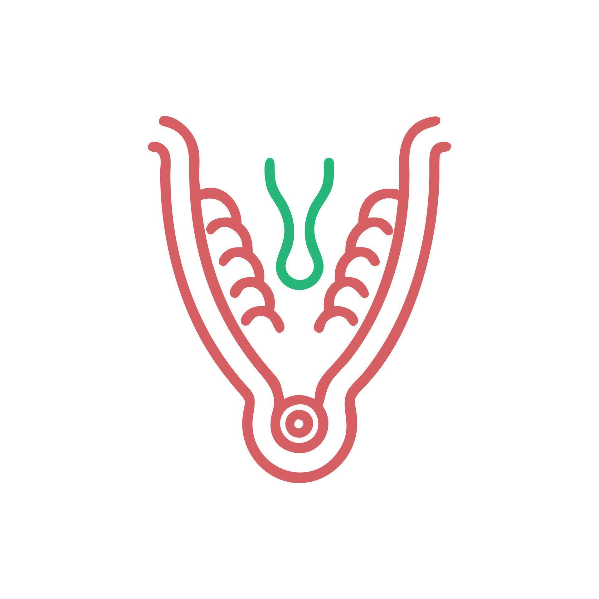 Vomer Detailed Anatomy Medical Icon 55729331 Vector Art At Vecteezy