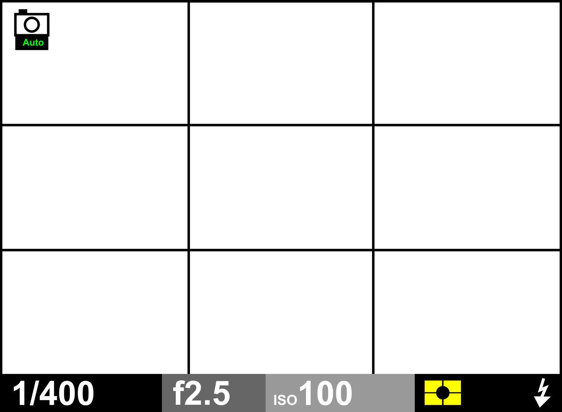 Camera viewfinder overlay with grid lines, showing settings shutter speed, aperture diafragma ...